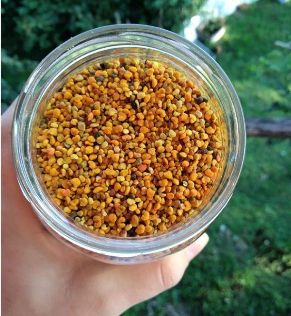 Arı Poleni - 1 Kg - Arıcılık Malzemeleri