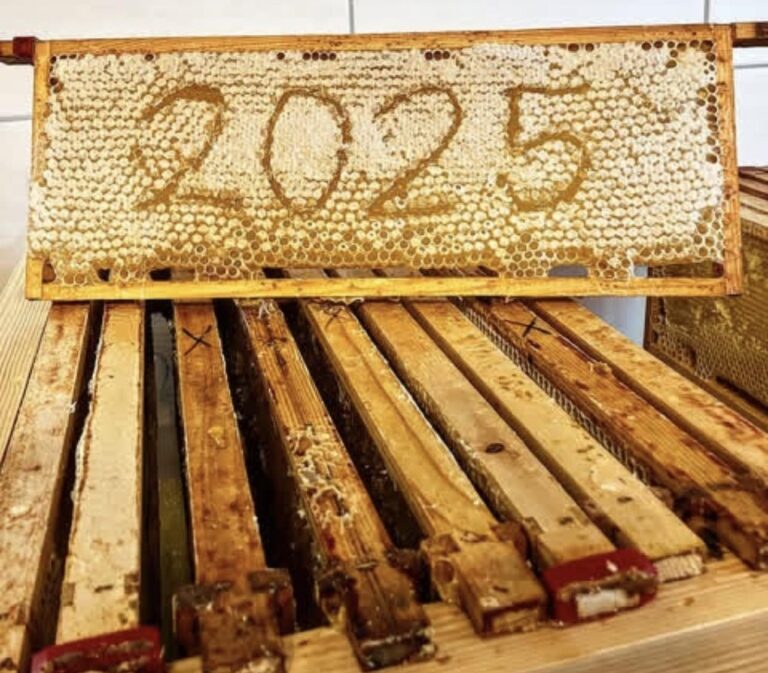 2025 Yılı Bal Fiyatları - Arıcılık Malzemeleri